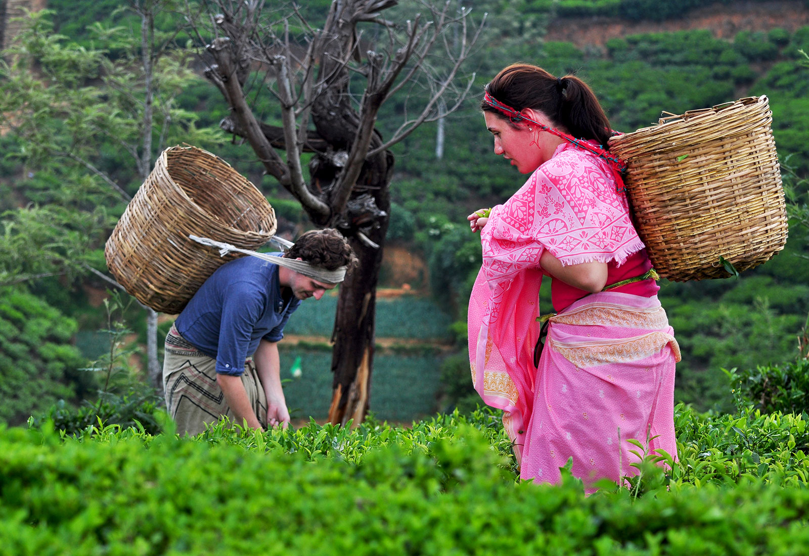Heritance Tea Factory | Lime Travel
